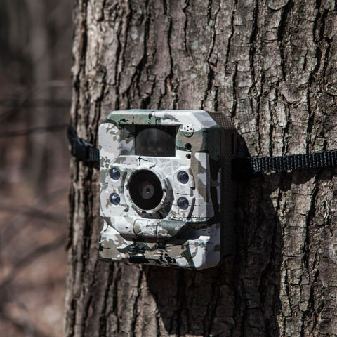 Hawk Treestands Hunt From Above - Hawk Treestands
