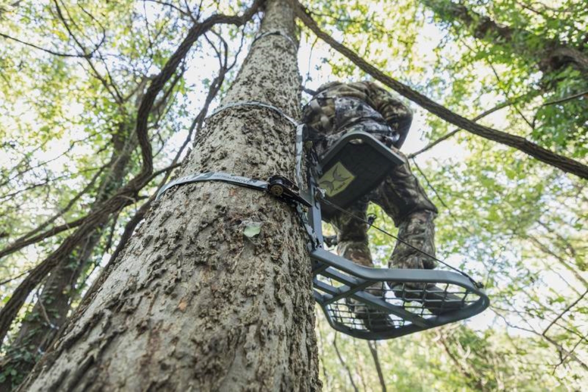 Public Land Bowhunting During The Pre Rut - Hawk Treestands